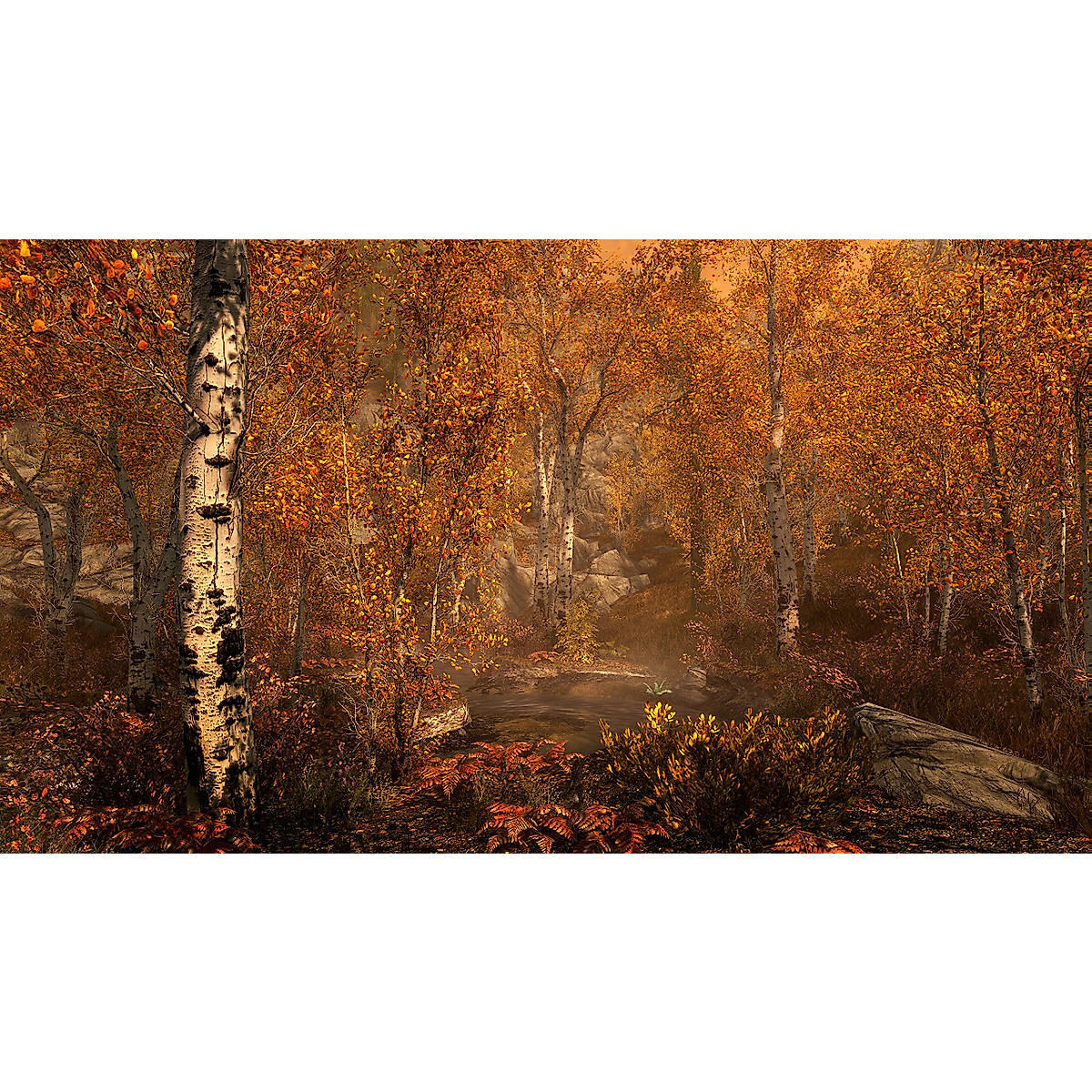 ELDER SCROLLS V 5 SKYRIM SPECIAL EDITION [M]