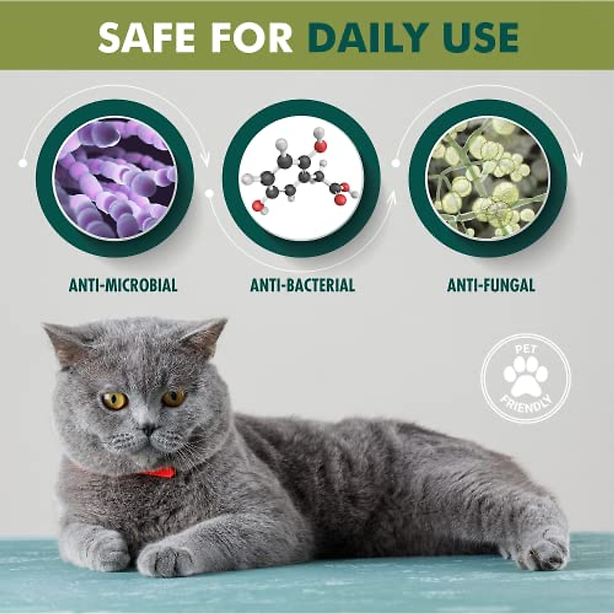 Pro Pet Works All Natural Soap Free 5 in 1 Oatmeal Dog Shampoo and Conditioner-Sulfate Free for Dandruff Allergies & Itchy Dry Sensitive Skin-Puppy Grooming for Smelly Dogs -17oz