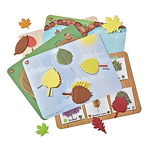 hand2mind Sensory Leaves Math Activity Set, Pattern Play, Shape Puzzle, Pattern Blocks Cards, Math Counters, Sorting Toy, Shapes for Toddlers, Counting Toy, Kindergarten Learning Activities