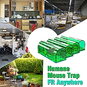 4 Pcs Humane Mouse Traps No Kill, Live Mouse Trap, Reusable Mice Trap Catch for House & Outdoors