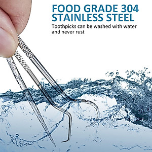 ZHENROAD 2 Set 7Pcs Portable Stainless Steel Toothpicks Pocket Set, Reusable Metal Toothpicks Rooth Cleaning Kit with Holder for Outdoor Picnic Camping Traveling