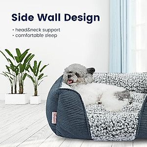 Miguel Washable Cat Beds for Indoor Cats with Removable Cushion, Easy to Wash Small Pet Sofa Bed with Side, Rectangle Bolster Kitten Bed Calming Cuddle Puppy Bed with Anti-Slip Bottom, Blue 18 Inch