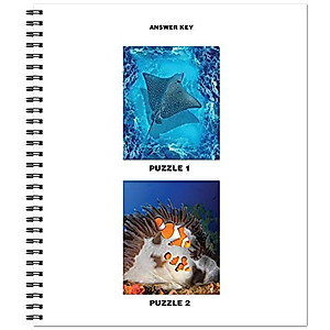 Brain Games - Sticker by Number: Ocean Life (Easy - Square Stickers): Create Beautiful Art With Easy to Use Sticker Fun!