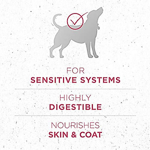 Purina ONE Natural, Sensitive Stomach Dry Dog Food, +Plus Skin & Coat Formula - 16.5 lb. Bag