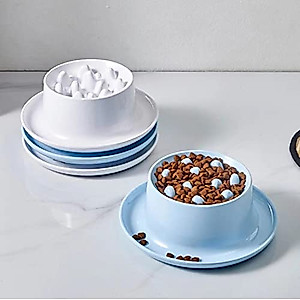 Slow Feeder Cat Bowl,Raised Cat Slow Feeder, Elevated Cat Bowls for Slow Eating, Pet Slow Feeder for Wet & Dry Food,Prevent Vomiting Improves Digestion (White)