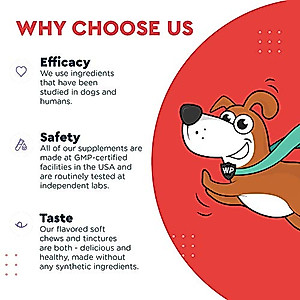 Wonder Paws Cardio Support for Dogs – Cardiovascular Chews Heart Health, Circulation, Energy & Weight Management - with L-Carnitine, Hawthorn Berry, Coenzyme Q10 & Taurine for Dogs – 90 Soft Chews