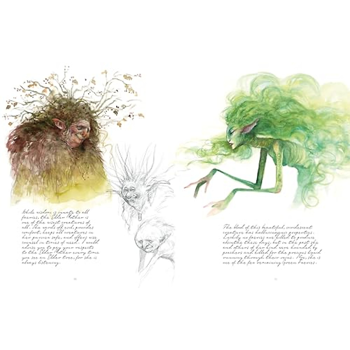 Faeries of the Faultlines: Expanded, Edited Edition