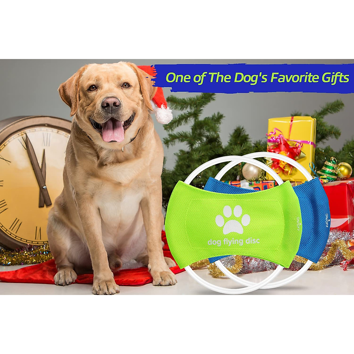 ZZYHSYXL 7 Inch Light Up Dog Flying Discs, 2 Pack Outside Dog Toys with 3 Light-Emitting Modes, Dog Flying Ring Toys for Physical Exercise, Outdoor Sports - Green Blue