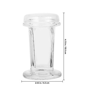 VILLCASE Terrarium Microscope Slides 5- Slide Coplin Staining Jar, Transparent Capacity Experiments Glass Lid Staining Tank Glass Staining Jar for Labs Laboratory Clear Glass Microscope Slides