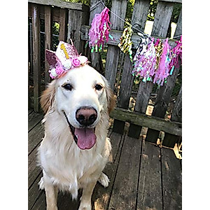 PET SHOW Pink Crown Dog Birthday Party Hat for Girls Reusable Birthday Party Cat Kitten Headband with 0-9 Figures Charms Grooming Accessories with Glue Pack of 1