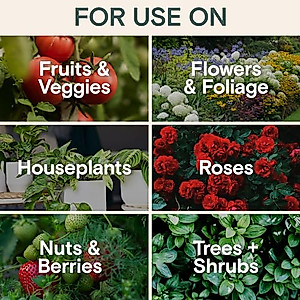 Arber Organic Liquid Concentrate for Indoor and House Plants | Natural Gardening (Organic Fungicide)