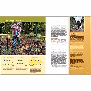 Epic Tomatoes: How to Select and Grow the Best Varieties of All Time