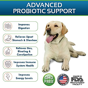 PureNutria Dog Probiotics Dog Supplements - for Dog Diarrhea, Upset Stomachs, Yeast, Gas, Dog Allergy and Dog Immune System Support - Made in USA - 12 Targeted Strains 5 Billion CFU - 120 Scoops