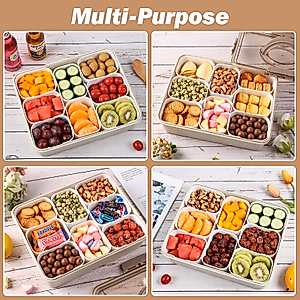 Platters-Snackle Box Charcuterie Container,Divided Serving Tray with Lid and Handle for Fridge,Snack Box Container Portable,8 Compartment Fruits Candy Veggie Trays,Perfect for Party Travel Picnic