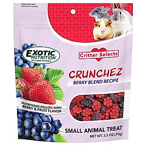 Crunchez Berry Blend - Crunchy Fruit Flavored Treat Bites - Sugar Gliders, Squirrels, Marmosets, Prairie Dogs, Hamsters, Chinchillas, Exotic Birds, Rabbits, Guinea Pigs, Degus, Small Pets… (2.5 oz.)