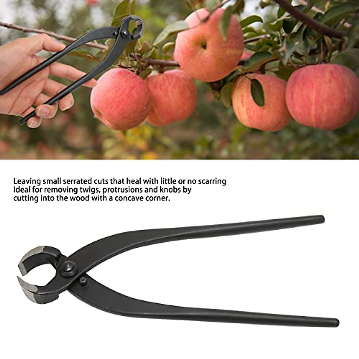 MIGONG Bonsai Knob Cutter, Professional Branch Cutter Manganese Branch Cutting Tool for Even Flowers Fruit Trees Bonsai Garden Plants House Plants 8.3In