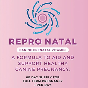Horizon Animal Care Canine Prenatal Multi-Vitamin Capsules - 60-Day Supply to Aid Full-Term Pregnancies and Promote Optimal Health for Expecting Dogs - ReproNatal™ Dog Supplement