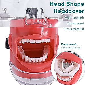 LVCHEN Manikin Simulator Head Lab Training Phantom Head with Typodont Teeth Model Fixed on Desk 1:1 High Emulation 360-Degree Adjustable for Dental Schools Education Practical Demonstration