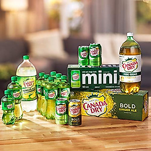 Canada Dry Ginger Ale Soda, 12 fl oz cans (Pack of 12)