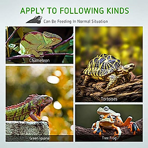 VIVOSUN Reptile Heating Pad 6x8 inch and Reptile Heating Pad 8x12 inch Combo