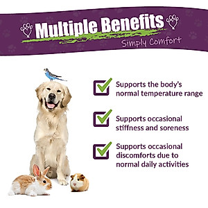 AMBER NATURALZ Petizol Simply Comfort Herbal Supplement for Dogs, Bird, Rabbit | Support for Occasional Discomforts and Normal Body Temperature | 1 Fluid Ounce Glass Bottle | Manufactured in The USA