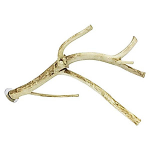 Multi-Branch Perch (Medium) - Durable Natural Climbing Branch Perch Cage Accessory - Sugar Gliders, Squirrels, Prairie Dogs, Degus, Marmosets, Monkeys, Parrots, Birds, Rats, Reptiles, Amphibians