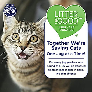 Cat's Pride Max Power: Total Odor Control - Up to 10 Days of Powerful Odor Control - Strong Clumping - Hypoallergenic - 99% Dust Free - Multi-Cat Litter, Unscented, 15 Pounds