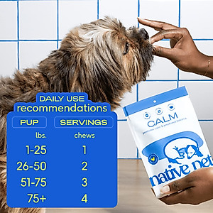 Native Pet Omega Oil for Dogs - Dog Fish Oil Supplements & Calming Chews | Dogs Anxiety Relief Treats & Dog Relaxants | 8 Oz. & 60 Chews