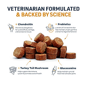 Veterinary Formula Smart Vitality Senior Support Supplement for Dogs - Soft Chews, 100ct - Support Healthy Joints, Skin, Gut, and Immunity with Glucosamine Chondroitin for Dogs