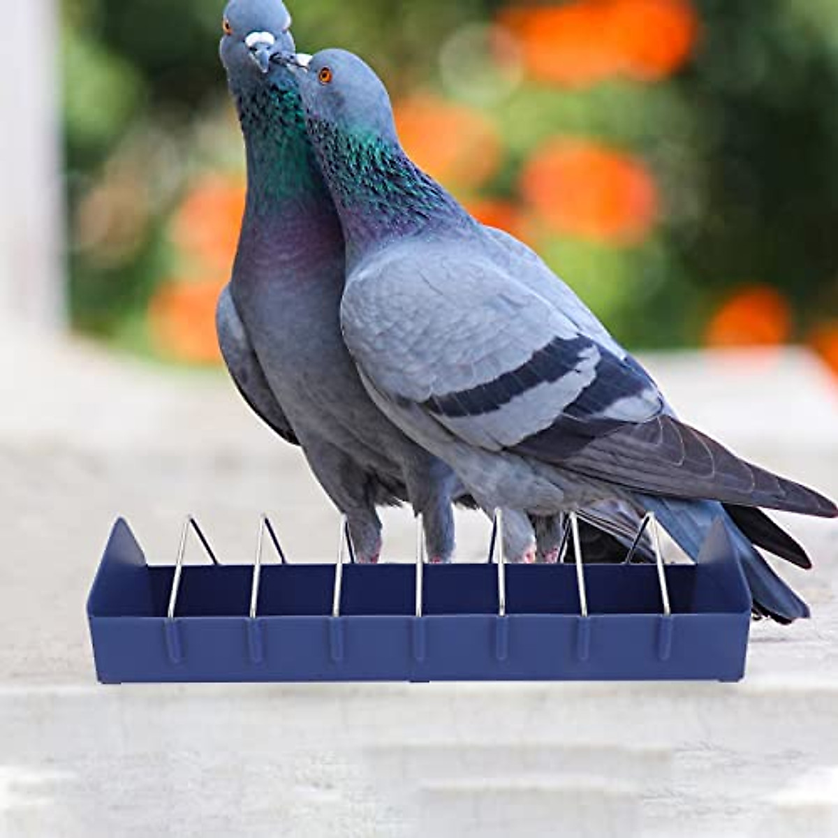 Happyyami Goat Feeder Cattle Feed Trough 2pcs Pigeon Feeder Slot Container Fowl Feeding Dish Bird Storage Trough Food Dispenser Pigeon Cage Supplies 40CM Blue Horse Water Buckets Small Container