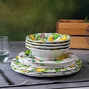 LEHAHA Lemon Melamine Dinnerware Dish Set – 12 Piece Indoor and Outdoor Plates and Bowls Set for Everyday Use, Dishwasher Safe, Unbreakable Kitchen Dinner Set, Service for 4…