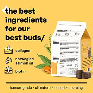 Hemp Hounds - Adaptogenic Skin and Coat Chews for Dogs - 90 Chews - Nutrient Rich Dog Allergy Relief - Omega 3-6-9 - Norwegian Salmon Oil - Collagen - Turmeric - Beef Flavor - Dog Itch Relief