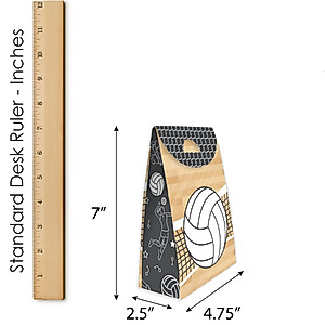 Big Dot of Happiness Bump, Set, Spike - Volleyball - Baby Shower or Birthday Gift Favor Bag - Party Goodie Boxes - Set of 12
