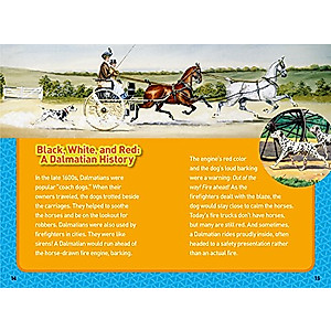 National Geographic Kids Chapters: Hero Dogs (NGK Chapters)