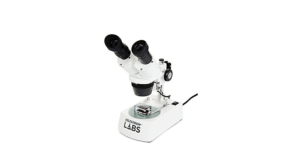 Celestron Stereo Microscope with 10-60x Magnification & Dual LED Lighting