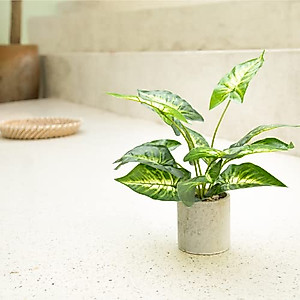 Velener 1Pc Faux Plant Indoor in Plant Pot 16"- House Plant for Farmhouse Kitchen Decor Living Room Accessories Home Office Cubicle Bookshelf Guest Room Balcony Bathroom Rustic Green Room Floor Table