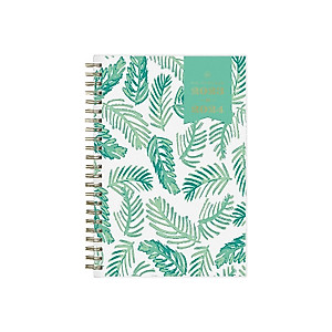 Blue Sky Day Designer for 2023-2024 Academic Year Weekly and Monthly Planner, 5' x 8', Frosted Flexible Cover, Wirebound, Palms (137892-A24)