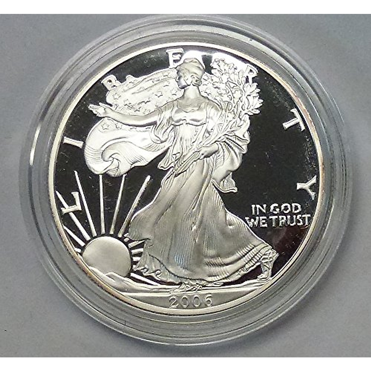 2006 W American 1 oz Silver Eagle Dollar US Mint PROOF
