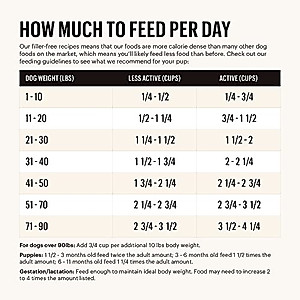 The Honest Kitchen Whole Food Clusters Grain Free Turkey Dry Dog Food, 20 lb Bag