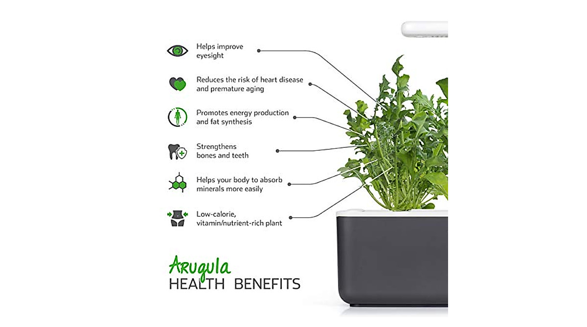 Click & Grow Arugula Pods: Effortless Home Grown Freshness