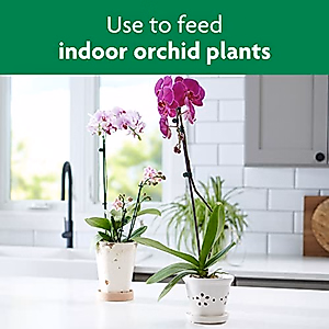 Miracle-Gro Ready-To-Use Orchid Plant Food Mist, 8 oz., Orchid Food Feeds Plants Instantly, 1 Pack