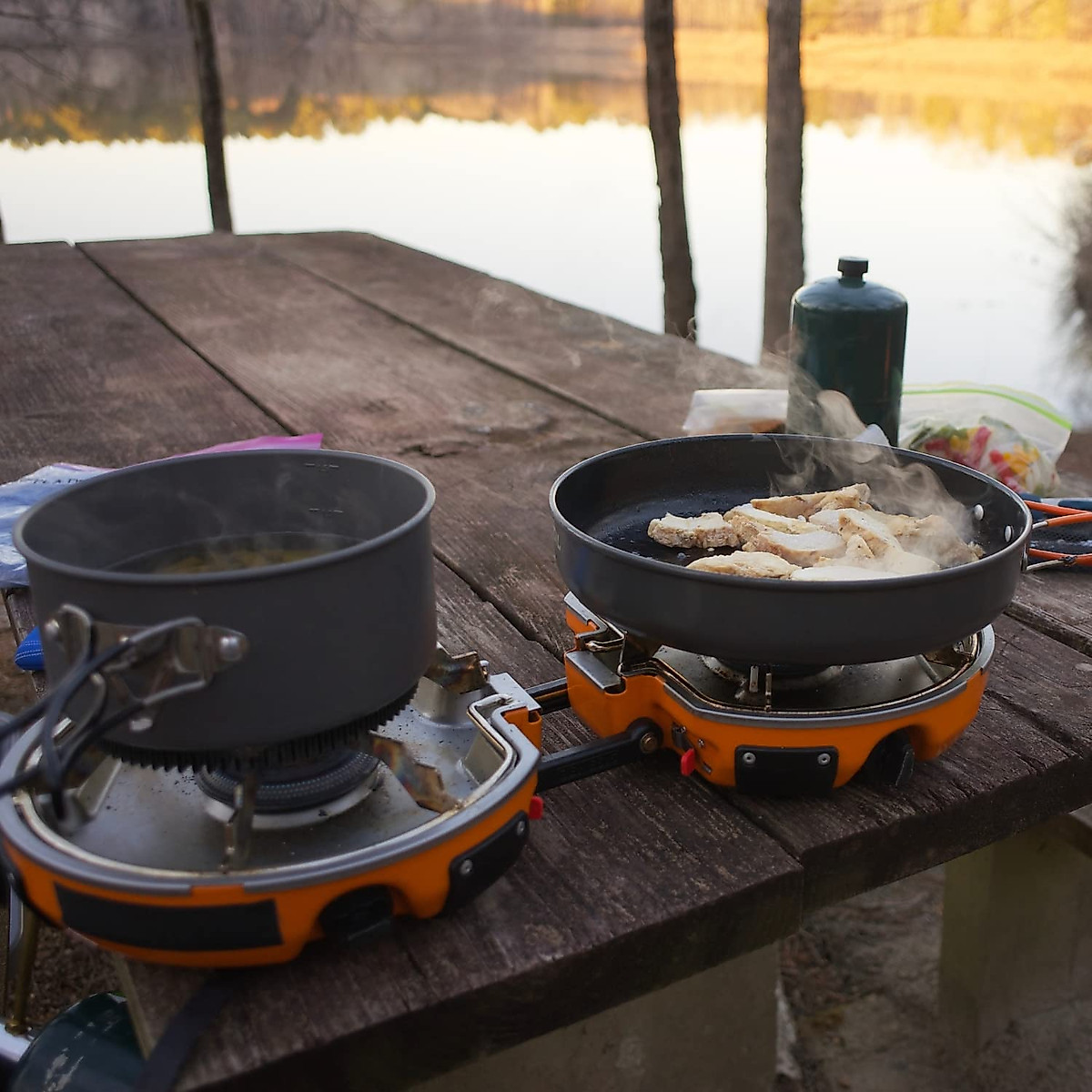 Evergreen Farm and Garden Coleman Propane Replacement Fuel Cylinders 16 oz Camping Fuel Bundled (6 Pack)