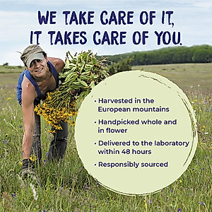 Boiron Arnicare Cream for Soothing Relief of Joint Pain, Muscle Pain, Muscle Soreness or Stiffness, and Swelling from Injury - Fast Absorbing and Fragrance-Free - 2.5 oz