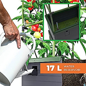 Bio Green JGL City Jungle Basic Model Plant Support, Charcoal Grey/Green