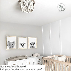 Baby Animal Nursery Prints |Set of 6| Neutral Woodland and Safari Artwork for Wall Decor (11in x 14in)