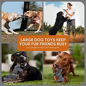 LEGEND SANDY Indestructible Dog Toys for Aggressive Chewers Large Breeds, Tough Nylon Dog Chew Toys for Large Dogs, Durable Dog Bone Toys for Medium/Large Breeds, Safe Bacon Flavor