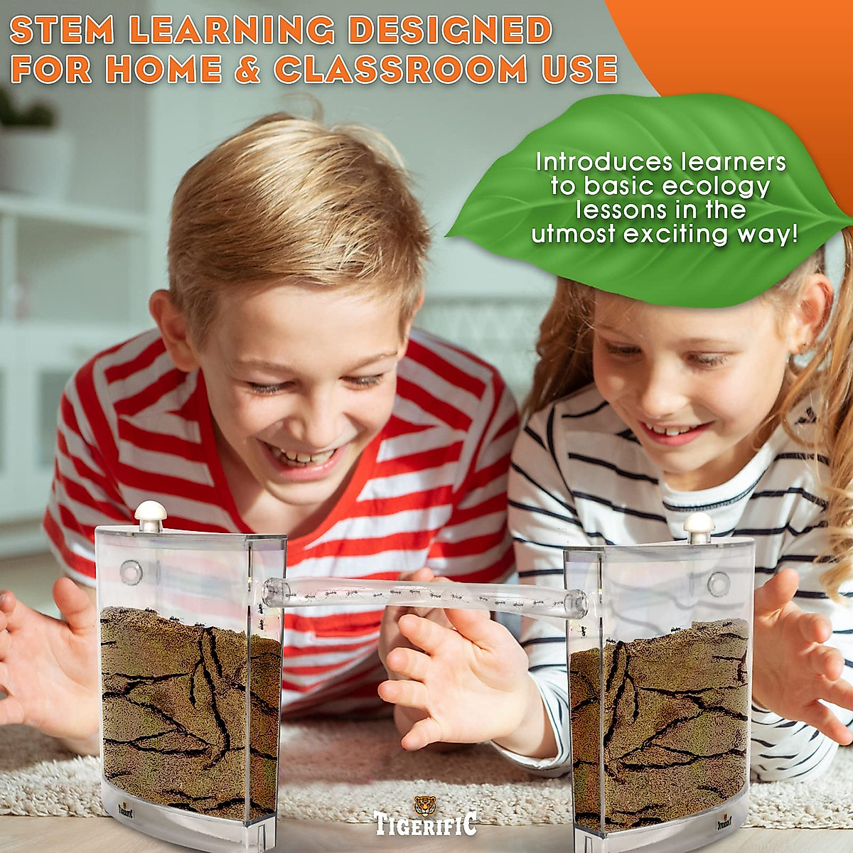 Tigerific Ant Farm for Live Ants - Real Sand Ant Colony Kit for Kids -Fun Science Habitat Set for Children, Watch Ants Dig Tunnels, Carry Sand, Hide and Drag Their Food