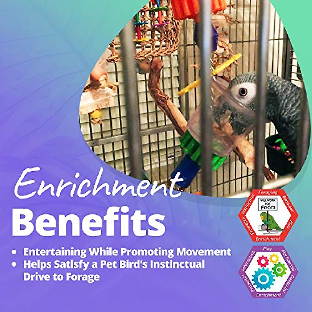 Super Bird Creations SB632 Foraging Bottom’s Up Bird Toy with Clear Acrylic Cups, Medium /Large Bird Size, 18” x 2.5”