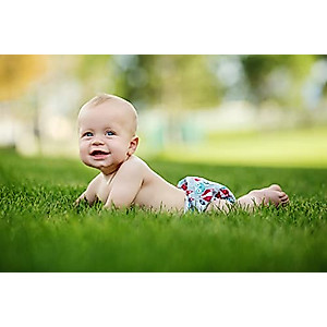 Kanga Care Rumparooz Cloth Diaper Reusable One Size Pocket Diaper with Patented Inner Double Gusset Adjustable 4 Sizes in 1 Diaper + 2 pcs Microfiber Insert Soaker (6-40+ lbs) - Clyde