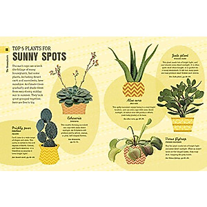 How Not to Kill Your Houseplant: Survival Tips for the Horticulturally Challenged